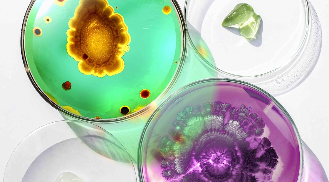 Probiotics in skincare: everything you need to know